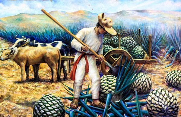 Astro Liquor House Blog of Tequila Page