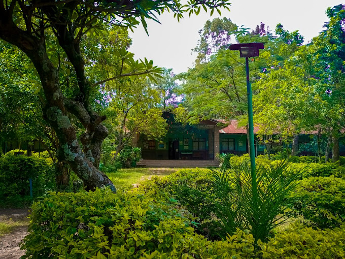 Saint Daniel Comboni School